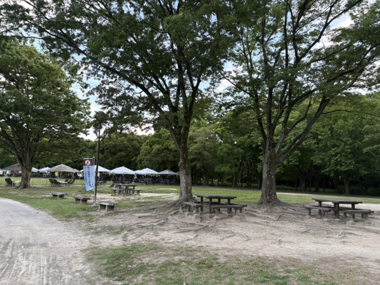 マラソンシーズンお疲れ様でした会、マタドールの5月は恒例の大BBQ大会♫ ｜パーソナルトレーニングジム マタドール
